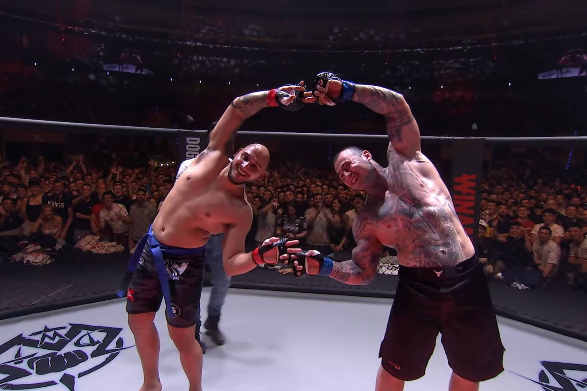 Dogfight Wild Tournament 2: Zdravko vence a Gaps...¡en menos de tres ...