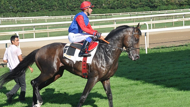 'Abdel' y 'Ziga', los favoritos de la Copa de Oro de San Sebastián ...